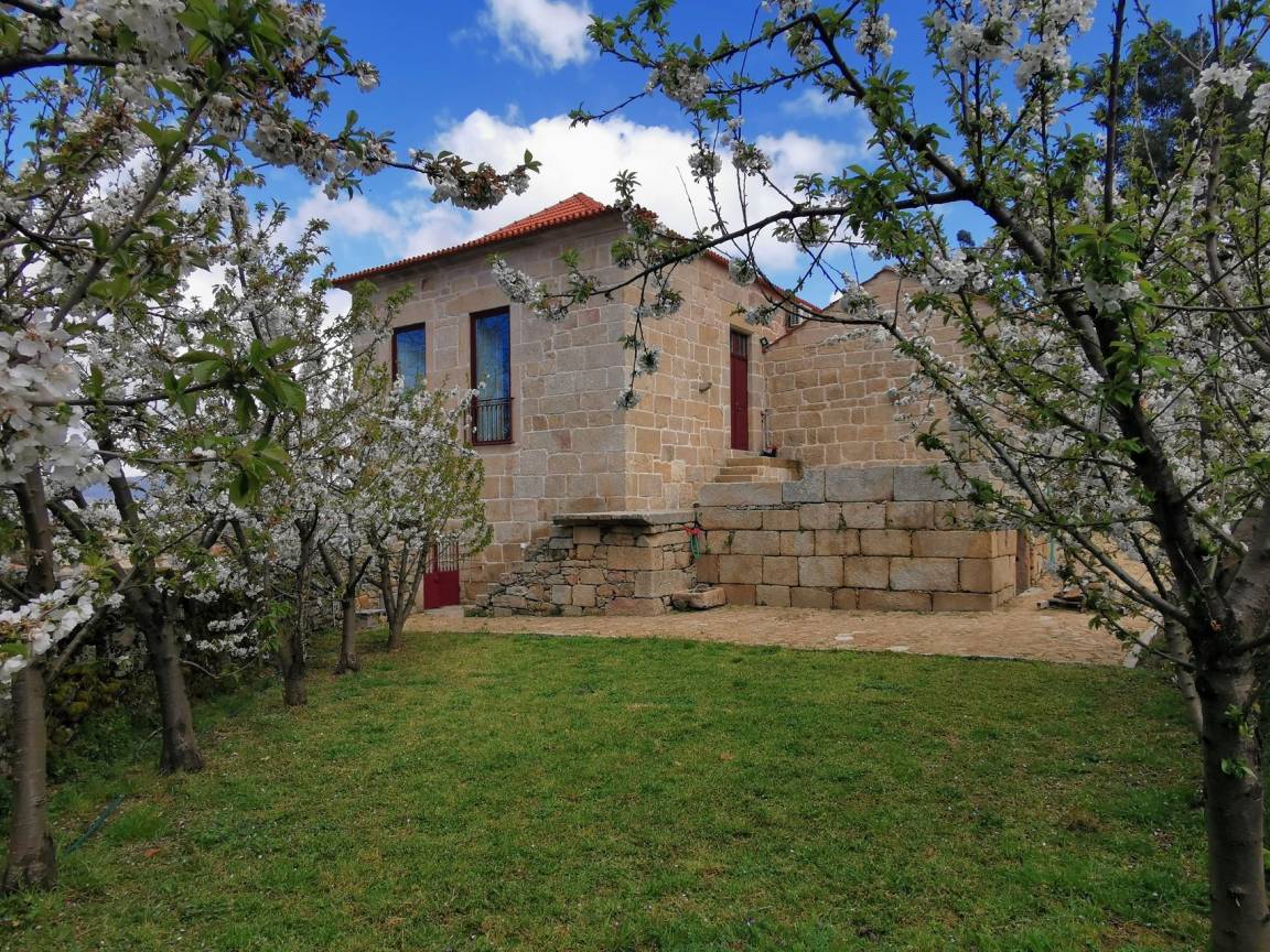 64 M² Casa ∙ 1 Quarto ∙ 4 Hóspedes - Penedono