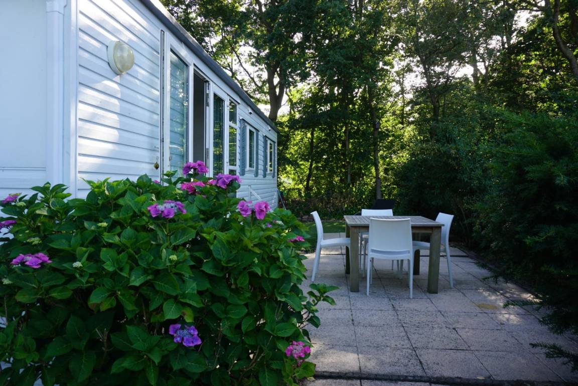 35 M² House ∙ 2 Bedrooms ∙ 4 Guests - The Hague
