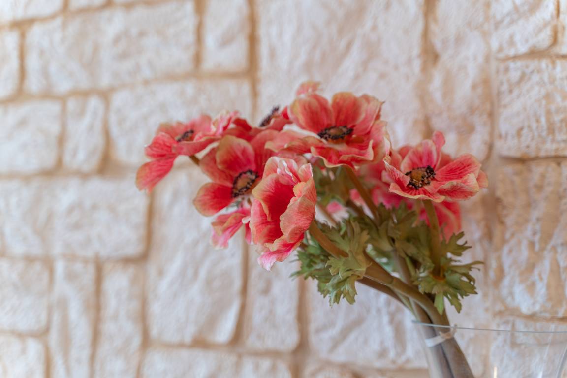 60 M² Appartement ∙ 2 Chambres ∙ 4 Personnes - Alghero