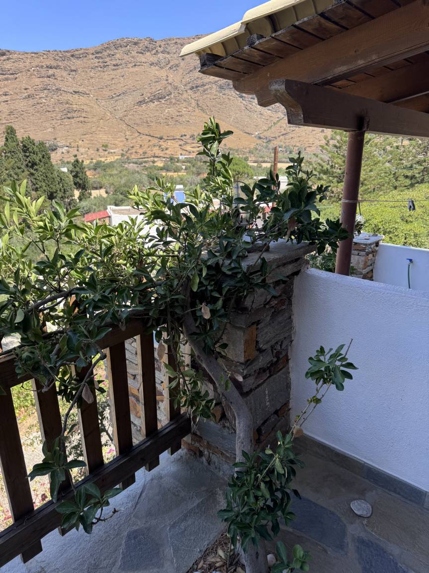 30 M² Studio Flat ∙ 1 Bedroom ∙ 3 Guests - Kea