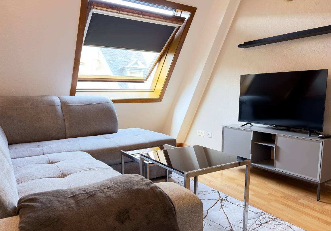 Apartment ∙ 2 Bedrooms ∙ 5 Guests - Halle (Saale)