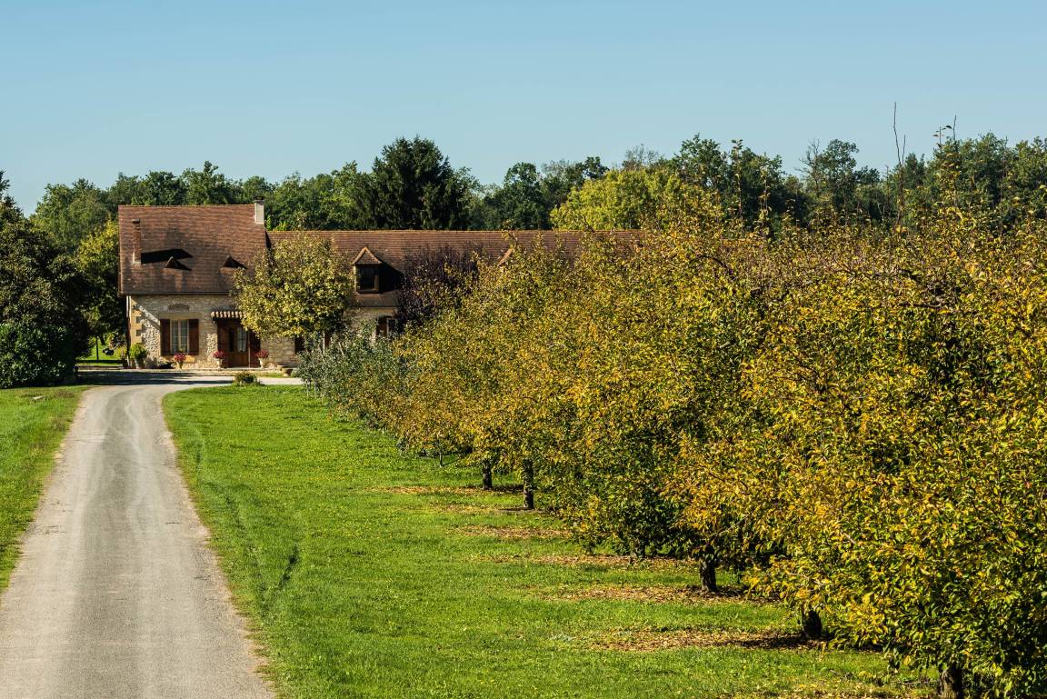 250 M² Maison De Vacances ∙ 5 Chambres ∙ 14 Personnes - Bergerac