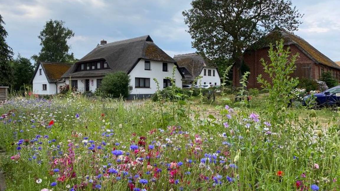 42 M² Ferienwohnung ∙ 1 Schlafzimmer ∙ 2 Gäste - Rügen