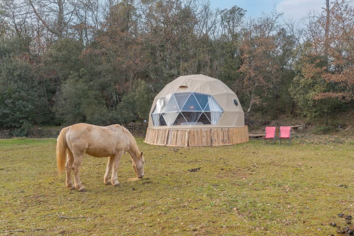 28 M² Studio ∙ 1 Schlafzimmer ∙ 3 Gäste - Quinson