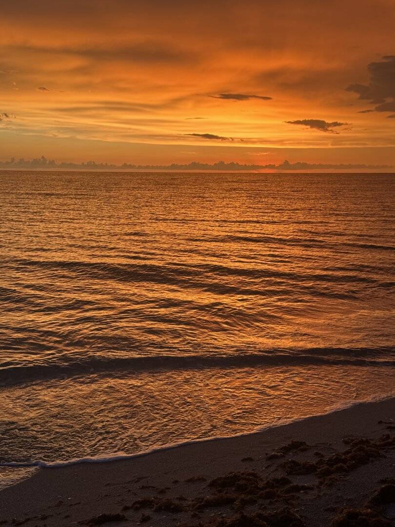 88 M² Villa ∙ 1 Chambre ∙ 2 Personnes - Venice, FL