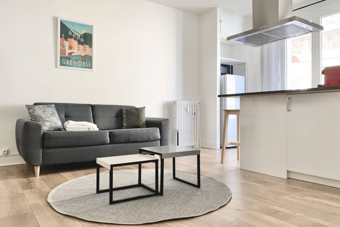 42 M² Apartamento ∙ 1 Habitación ∙ 4 Huéspedes - Grenoble