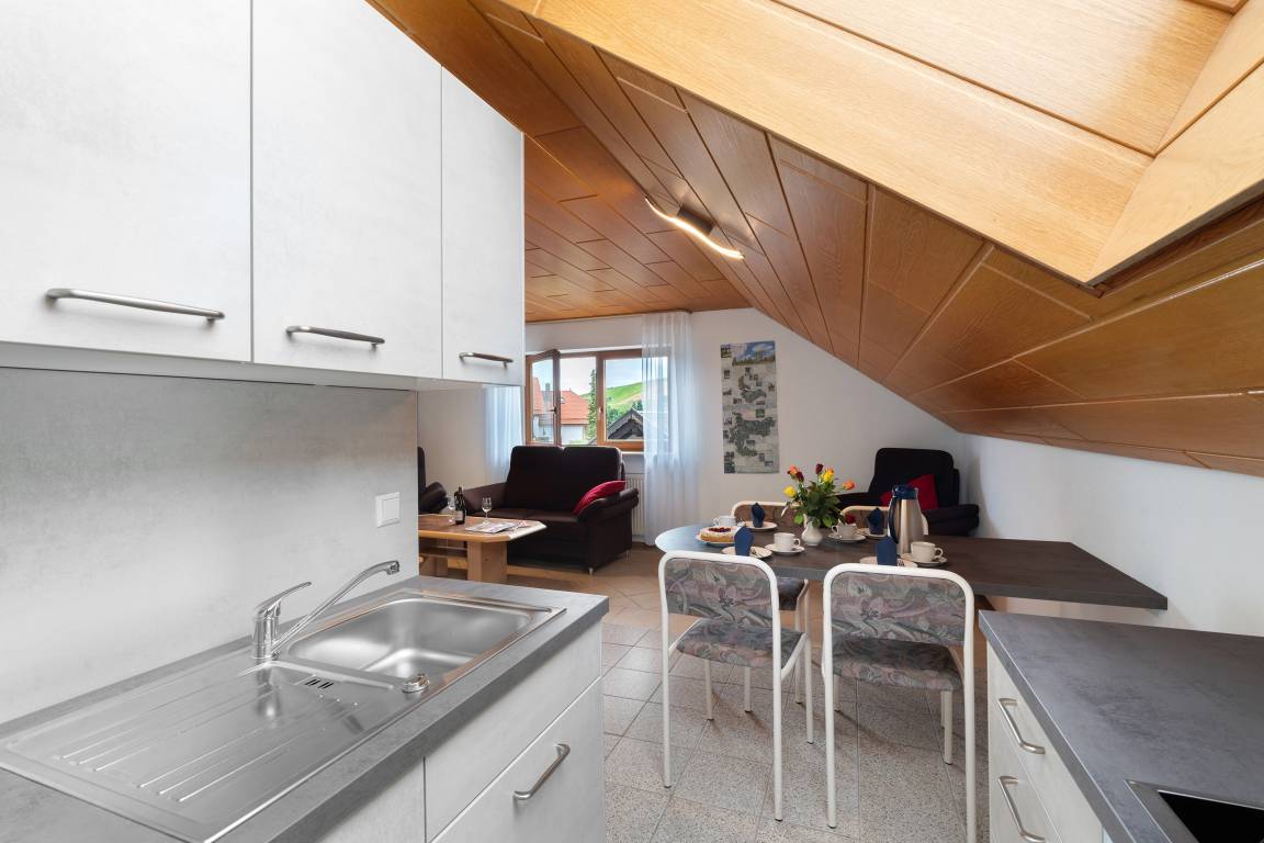 50 M² Apartamento ∙ 1 Habitación ∙ 4 Huéspedes - Baden-Baden