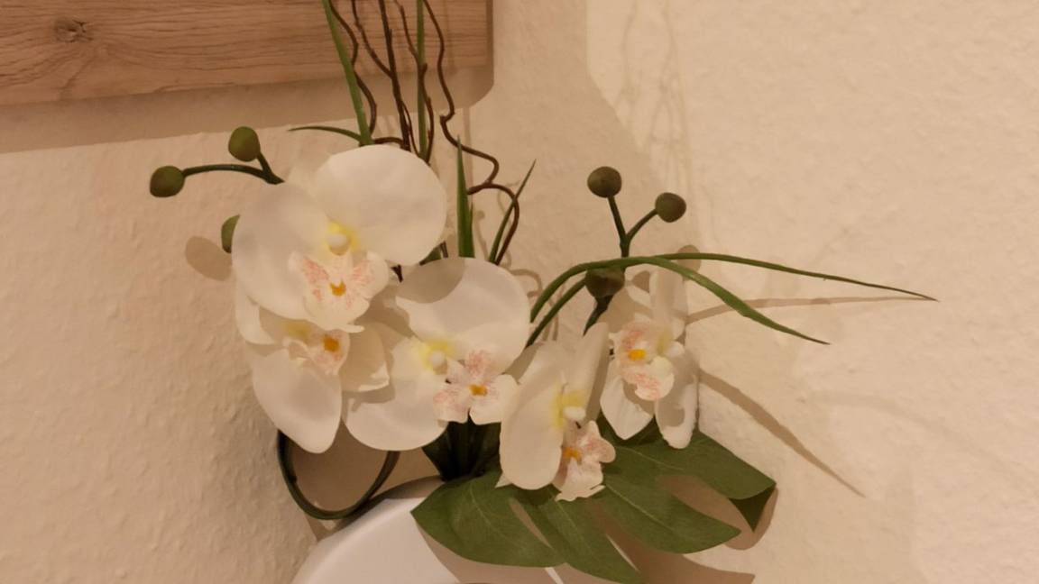 Appartement ∙ 4 Gasten - Baden bei Wien