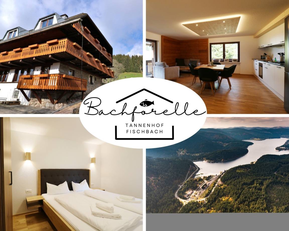 48 M² Appartement ∙ 1 Chambre ∙ 2 Personnes - Schluchsee
