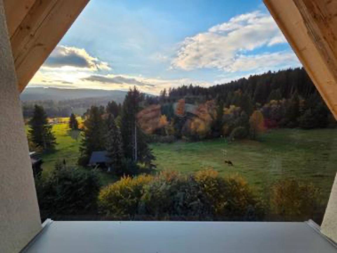 30 M² Ferienwohnung ∙ 1 Schlafzimmer ∙ 4 Gäste - Grafenhausen