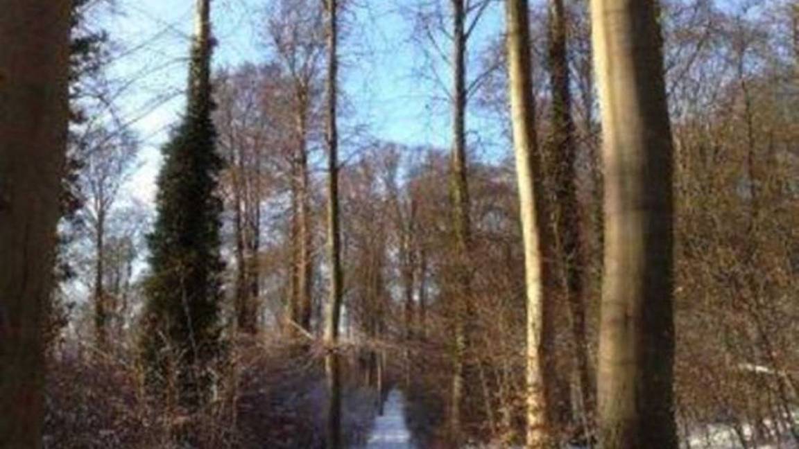 60 M² Appartement ∙ 2 Chambres ∙ 4 Personnes - Usedom