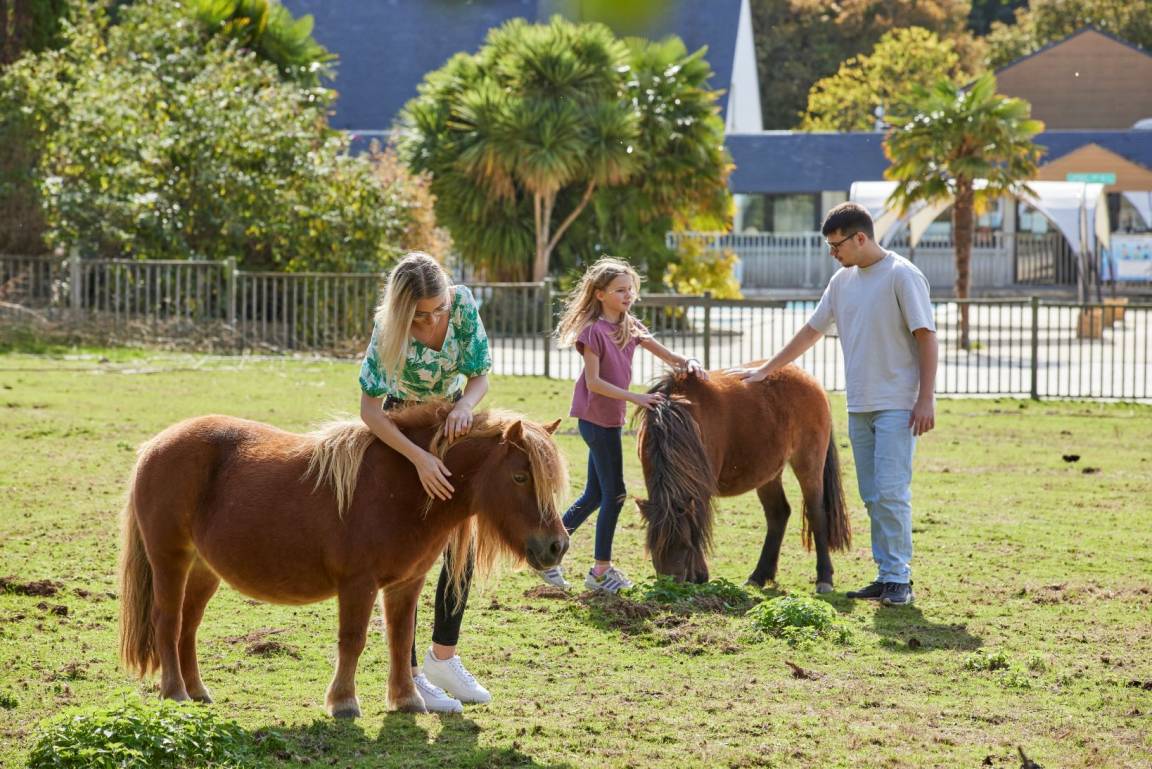 37 M² Camping ∙ 4 Bedrooms ∙ 10 Guests - Morbihan