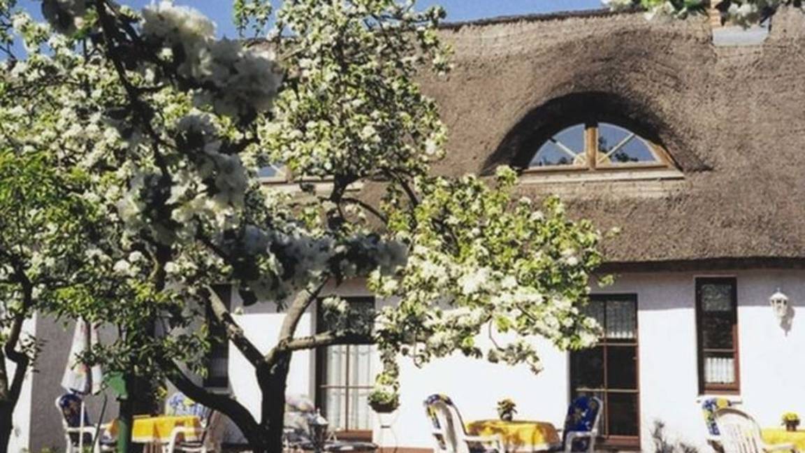 28 M² Ferienwohnung ∙ 1 Schlafzimmer ∙ 2 Gäste - Trassenheide