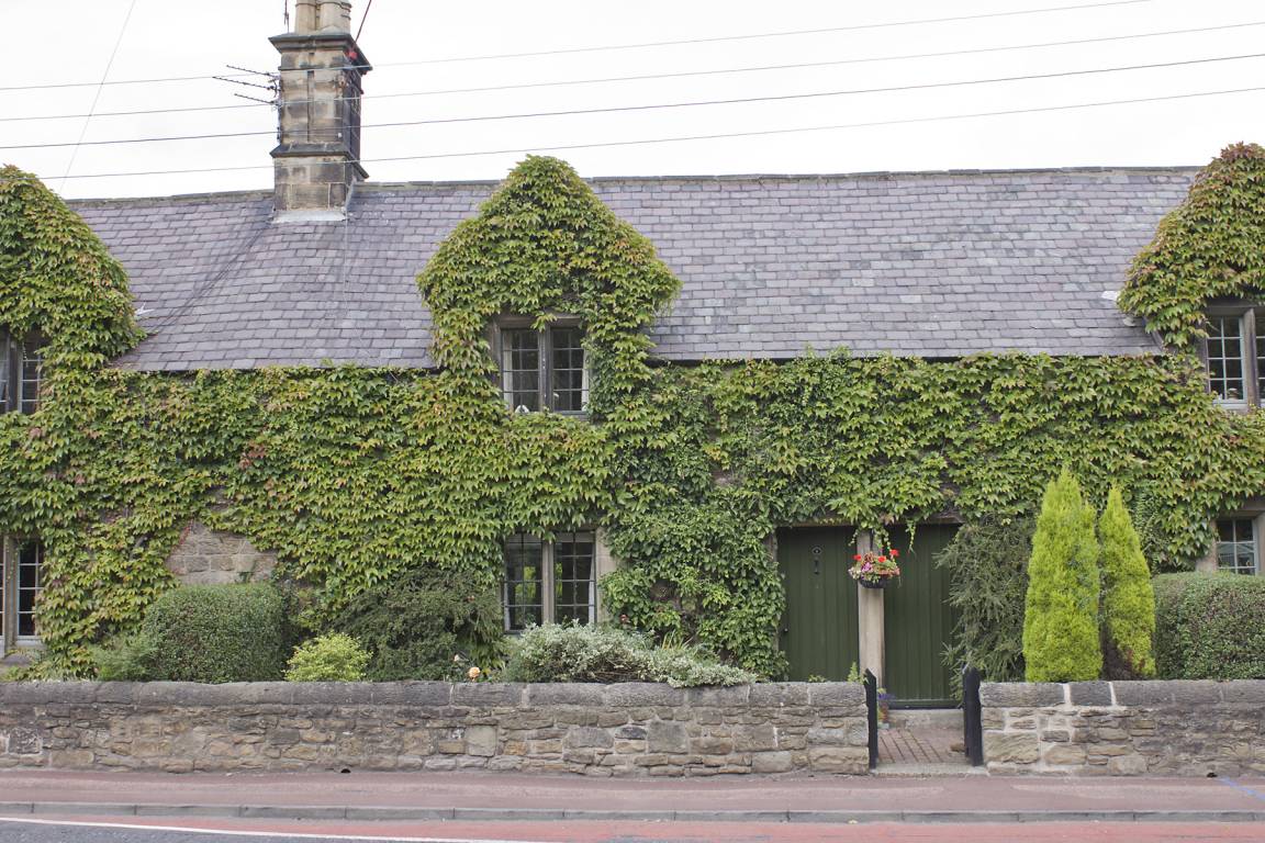 Cottage ∙ 3 Bedrooms ∙ 6 Guests - Newcastle upon Tyne