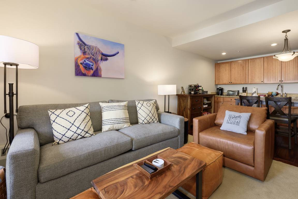 Apartamento ∙ 1 Habitación ∙ 4 Huéspedes - Granby, CO