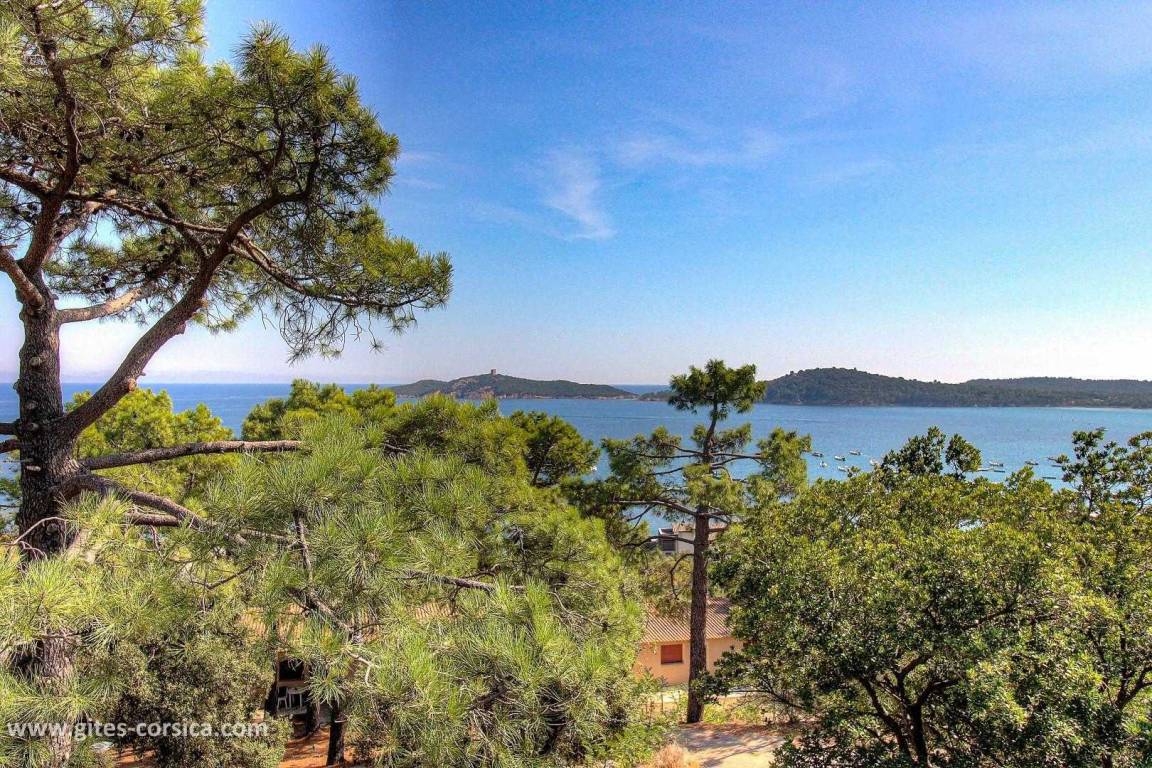 36 M² Gîte ∙ 1 Chambre ∙ 2 Personnes - Porto-Vecchio
