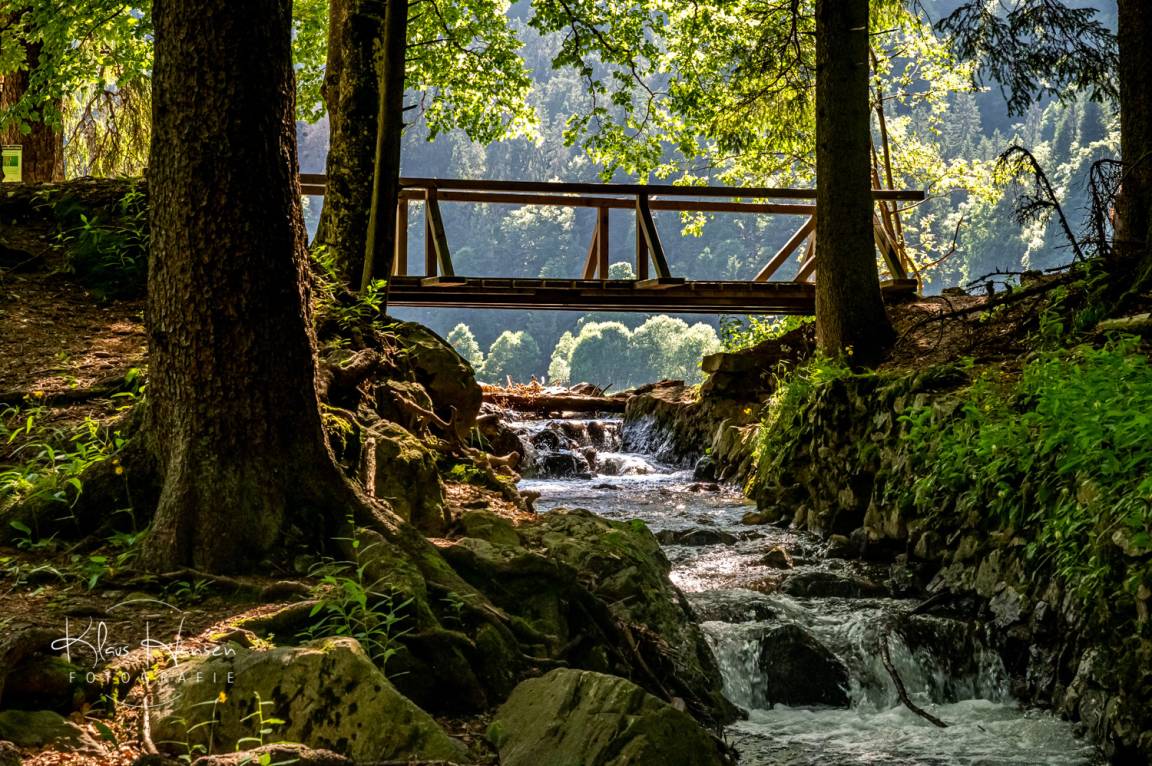 43 M² Appartement ∙ 1 Chambre ∙ 4 Personnes - Schluchsee