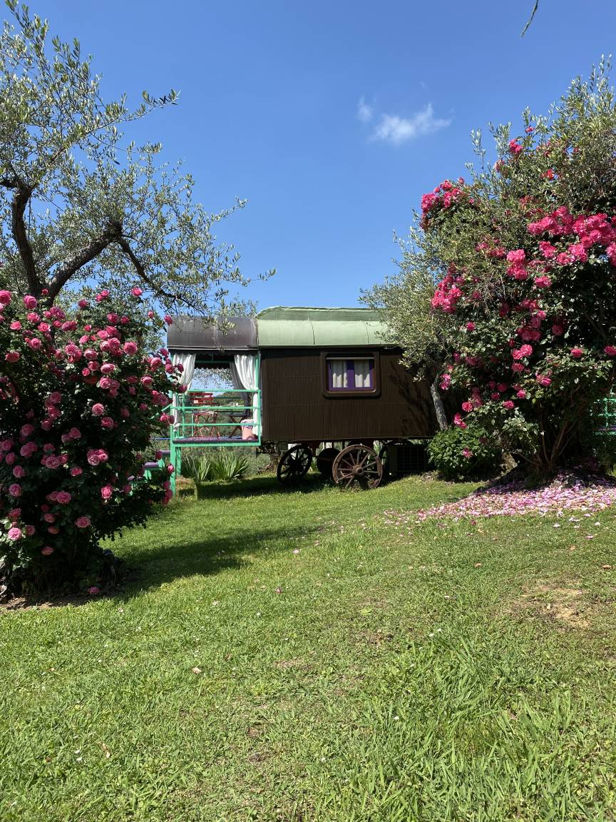 16 M² Farmhouse ∙ 1 Bedroom ∙ 2 Guests - カマイオーレ