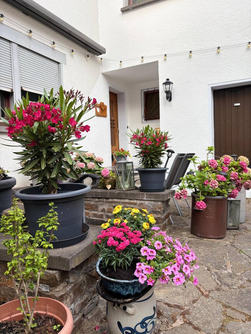 40 M² Appartement ∙ 2 Chambres ∙ 4 Personnes - Winningen