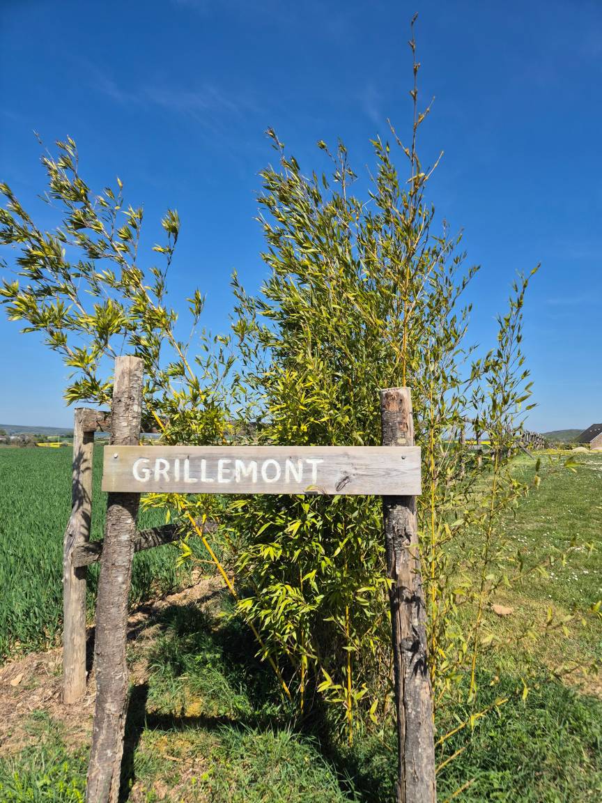 500 M² Maison De Campagne ∙ 10 Chambres ∙ 42 Personnes - Sarthe