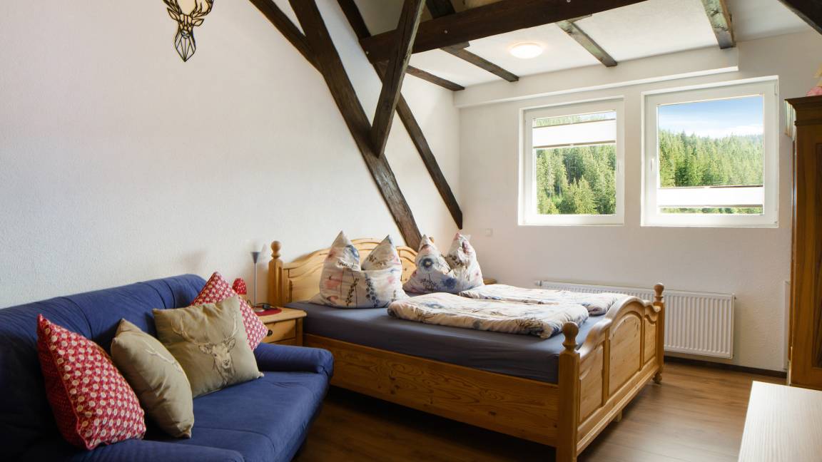 30 M² Apartment ∙ 1 Bedroom ∙ 2 Guests - Titisee-Neustadt