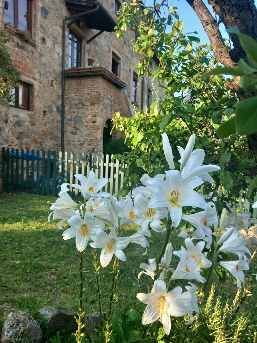 70 M² Agriturismo ∙ 2 Camere Da Letto ∙ 5 Ospiti - Pisa