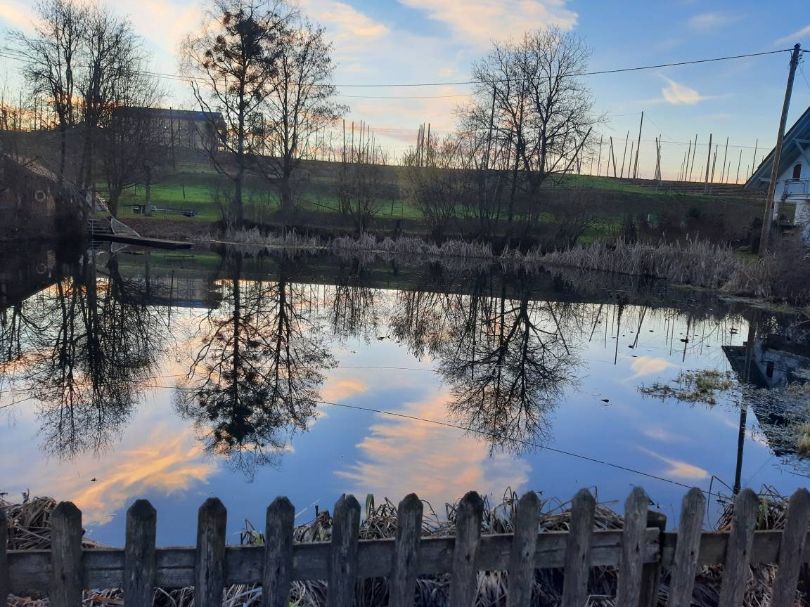 40 M² Apartment ∙ 1 Bedroom ∙ 2 Guests - Tettnang