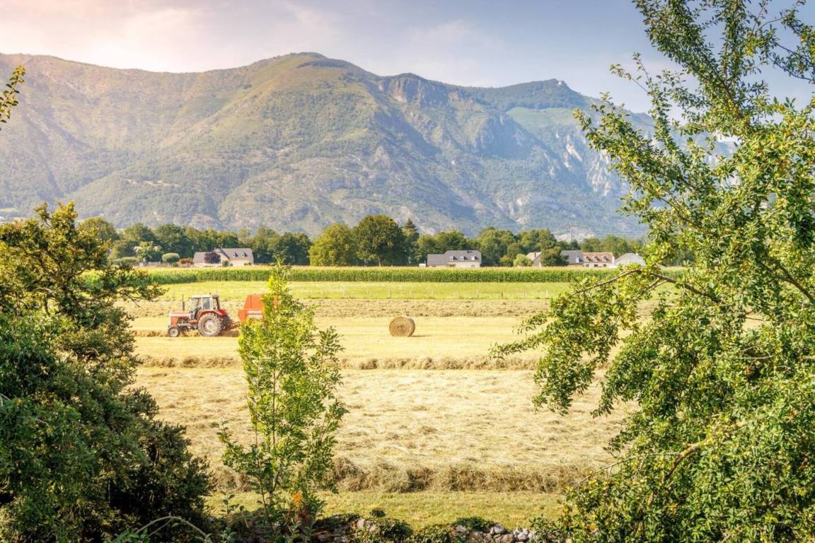 50 M² Appartement ∙ 2 Chambres ∙ 4 Personnes - Argelès-Gazost