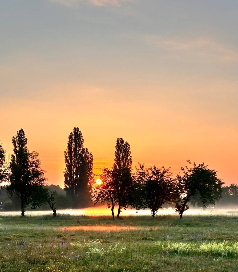 40 M² Ferienwohnung ∙ 1 Schlafzimmer ∙ 2 Gäste - Lübbenau/Spreewald