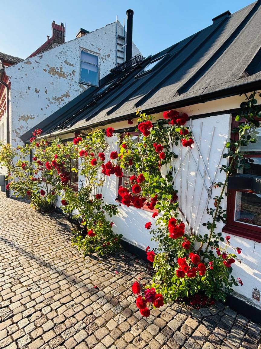 Villa ∙ 4 Bedrooms ∙ 12 Guests - Helsingborg