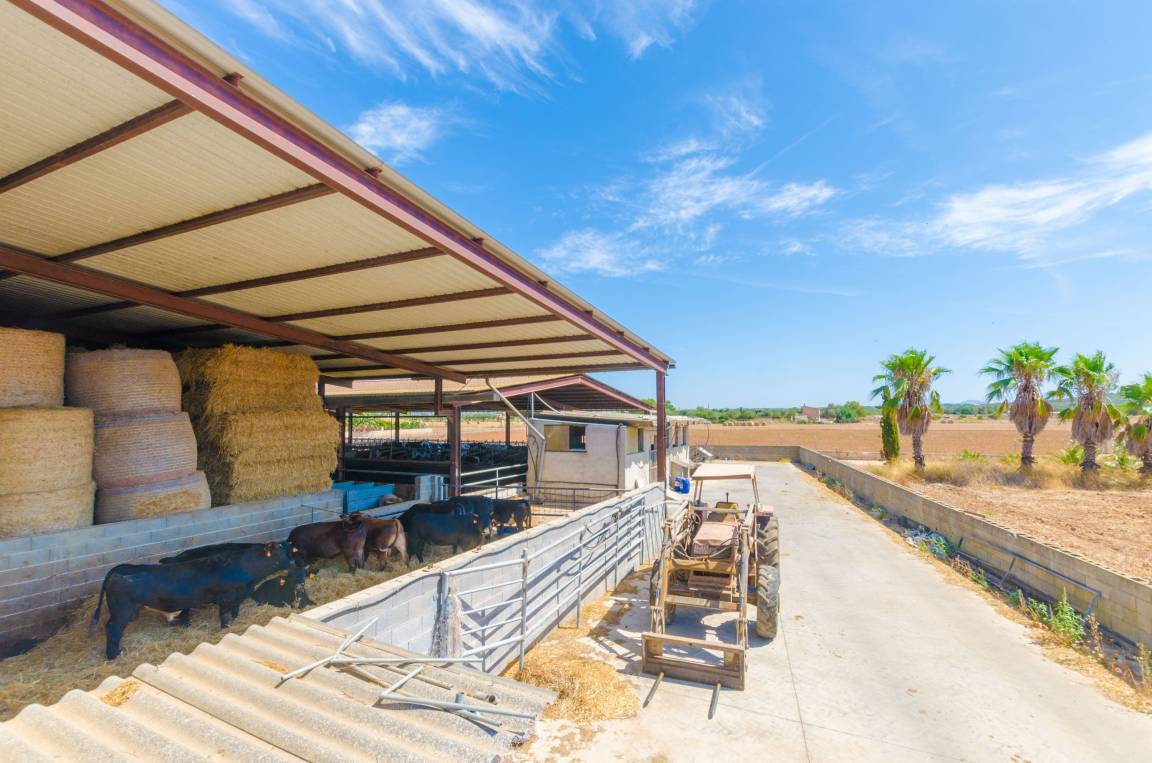 85 M² Vivenda ∙ 2 Quartos ∙ 4 Hóspedes - Campos