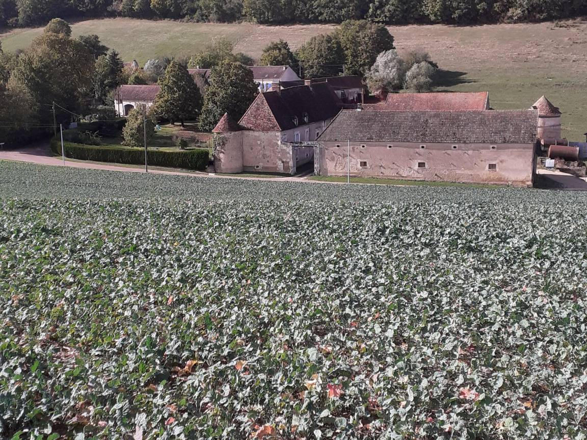 80 M² Cottage ∙ 2 Bedrooms ∙ 4 Guests - Loire Valley
