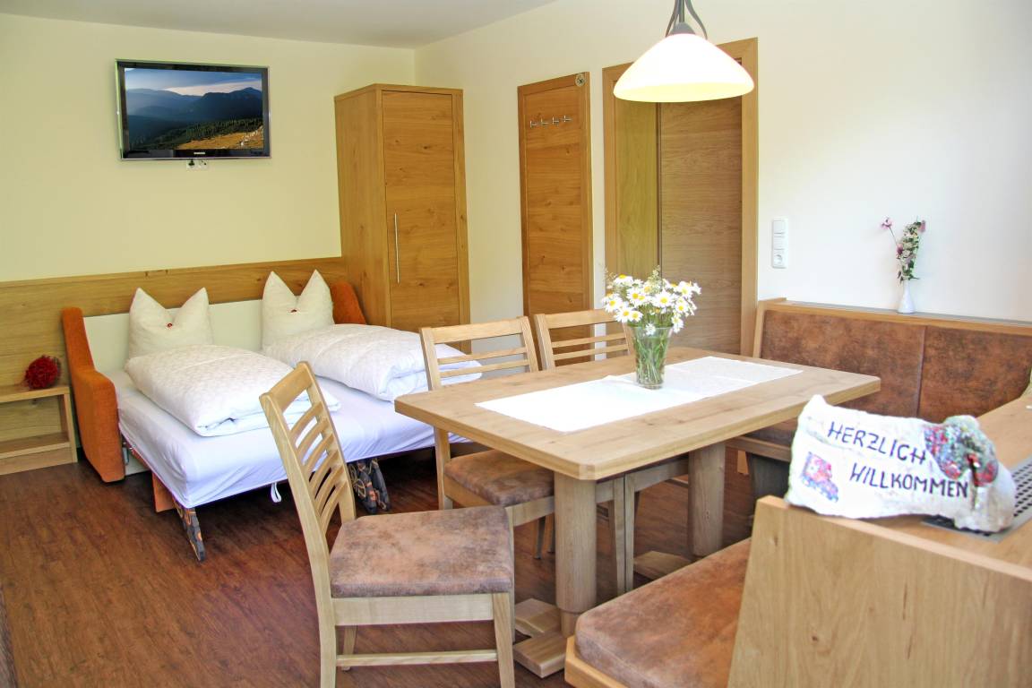 40 M² Apartment ∙ 1 Bedroom ∙ 4 Guests - Mittersill