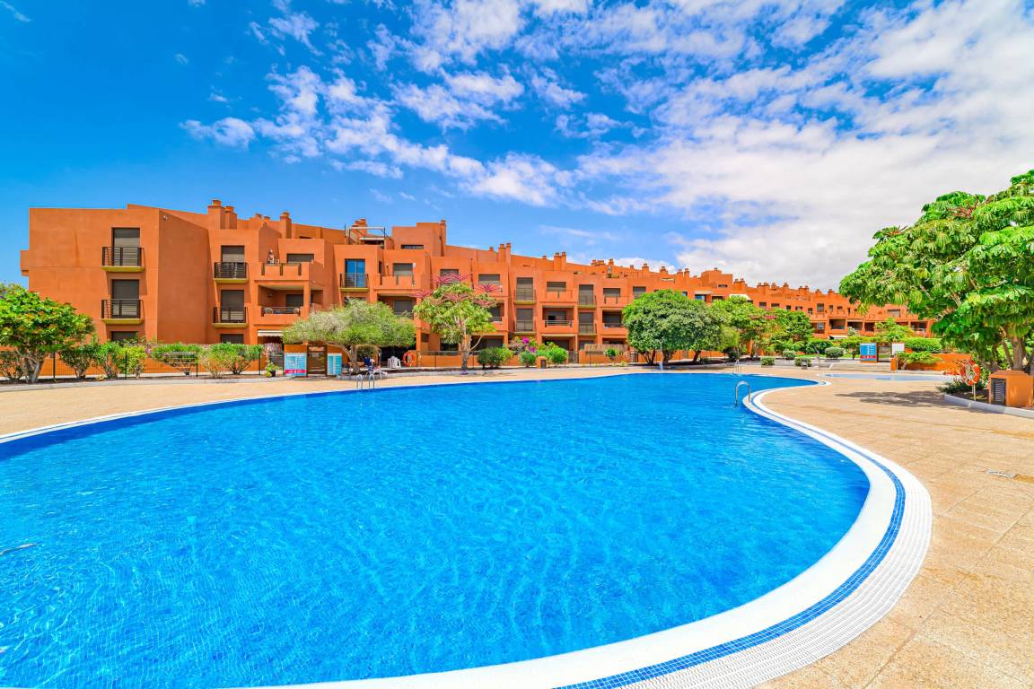 Apartamento ∙ 1 Habitación ∙ 4 Huéspedes - El Médano