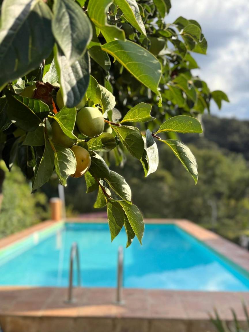 140 M² Appartement ∙ 4 Chambres ∙ 10 Personnes - Constantina