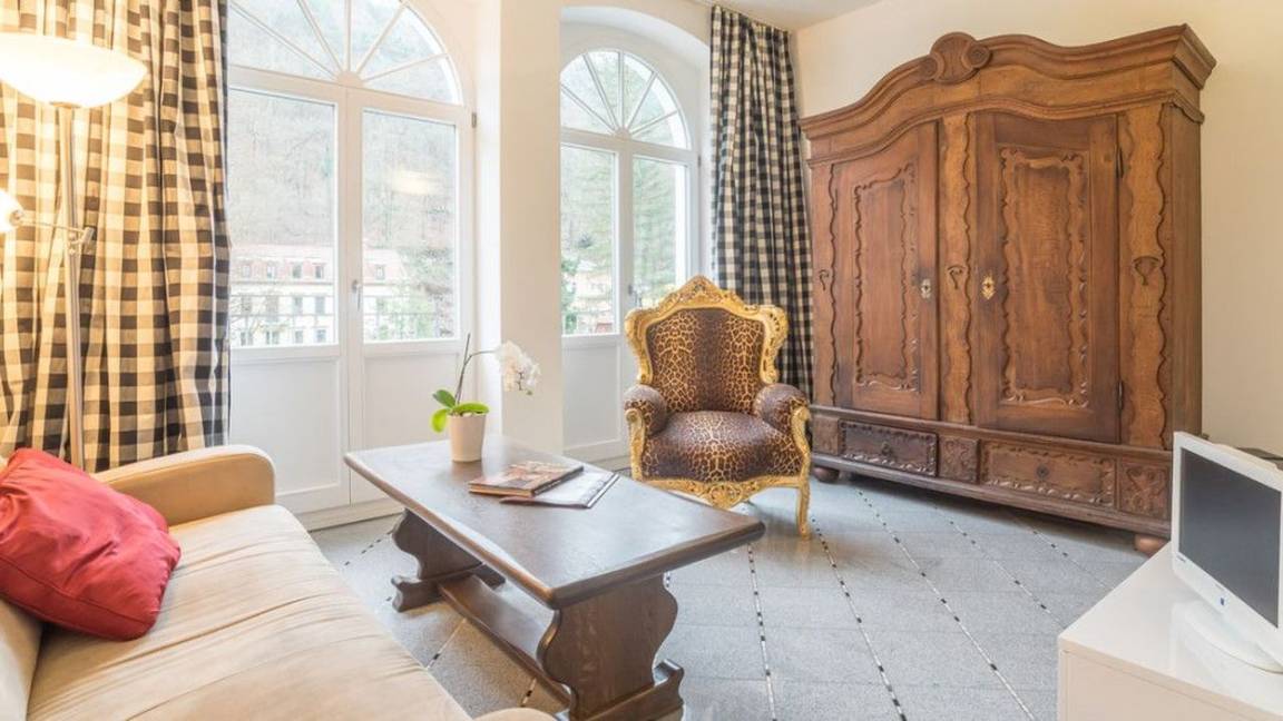 35 M² Apartamento ∙ 1 Habitación ∙ 1 Huésped - Bad Schandau