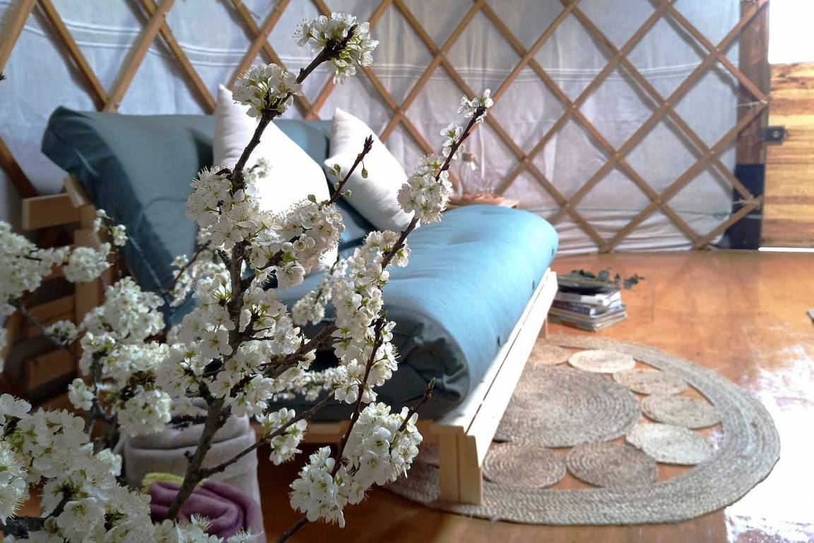 25 M² Hotel ∙ 1 Bedroom ∙ 2 Guests - Castelo de Paiva