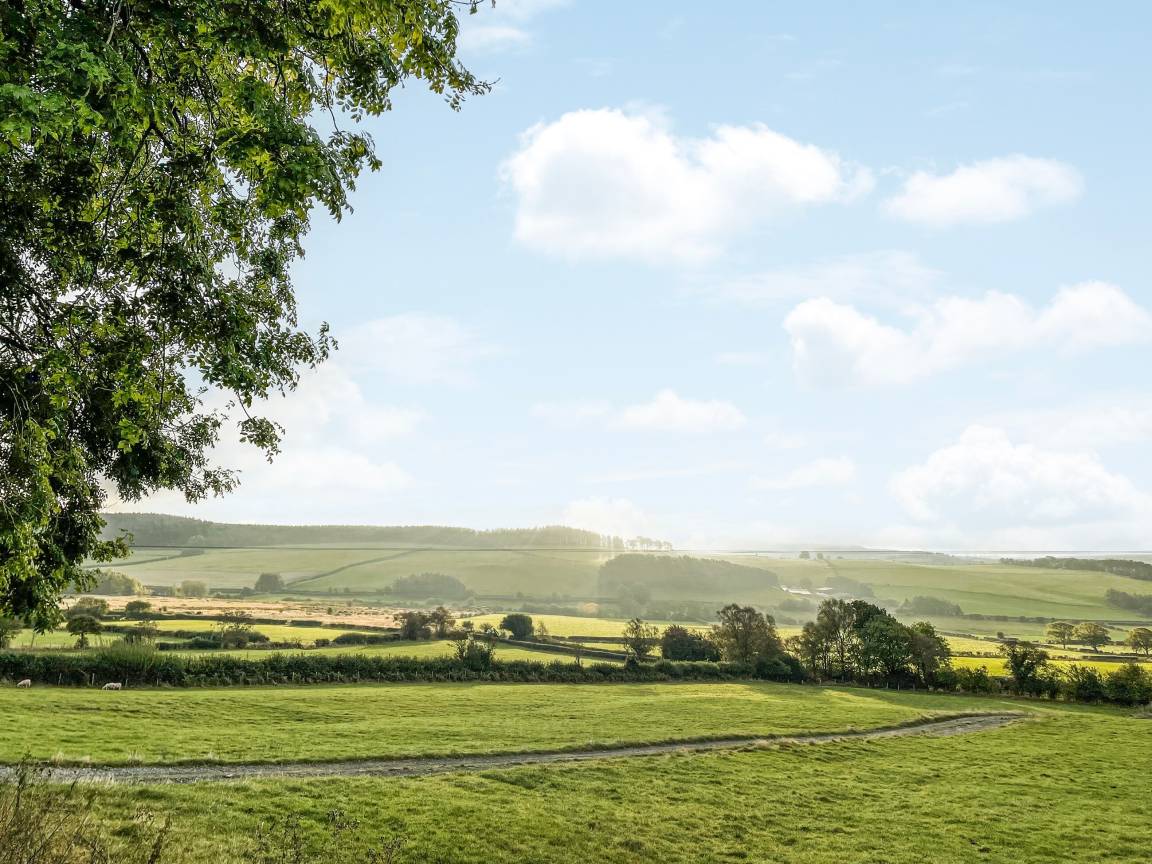 Cottage ∙ 1 Bedroom ∙ 2 Guests - Welshpool