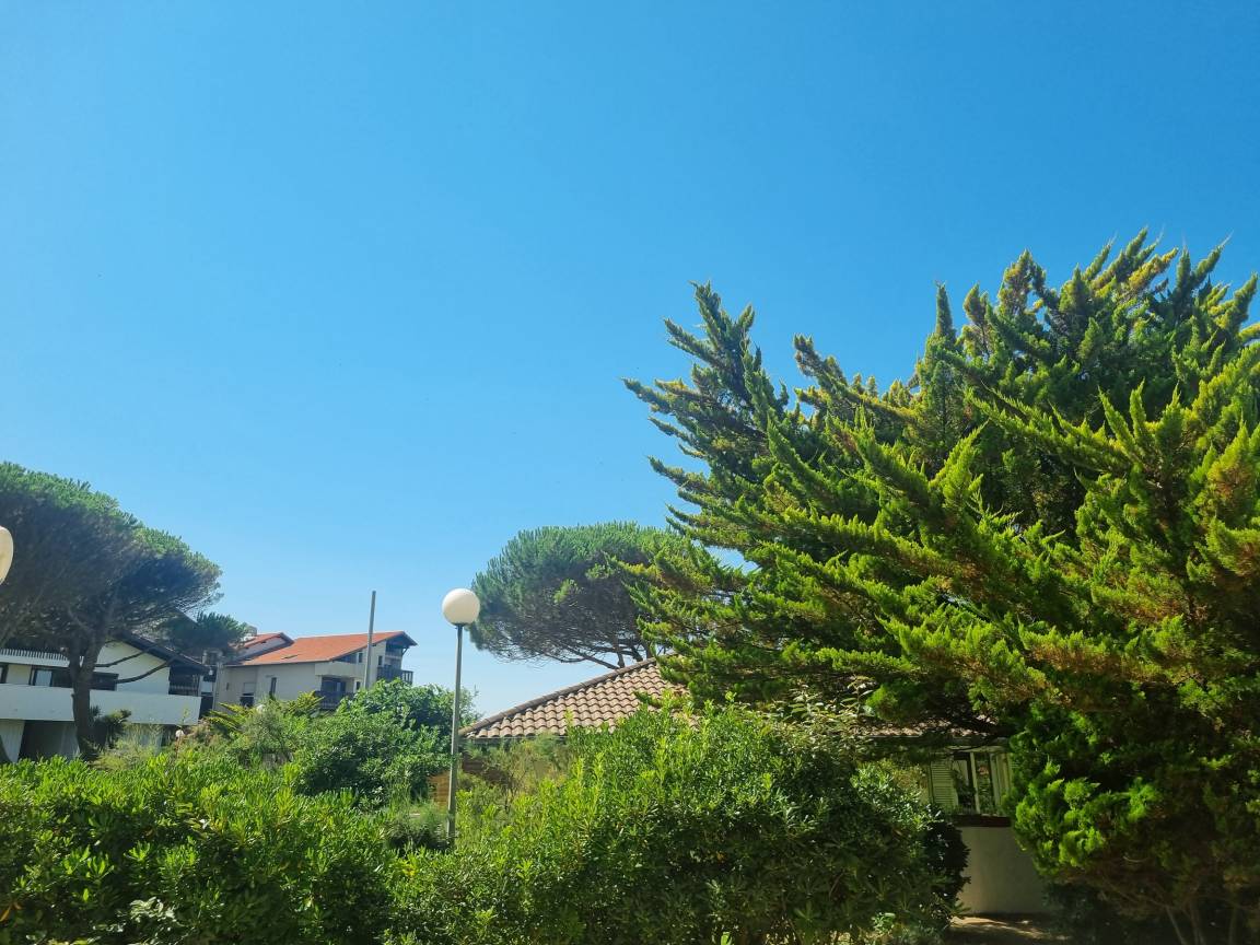 34 M² Apartment ∙ 1 Bedroom ∙ 4 Guests - Seignosse
