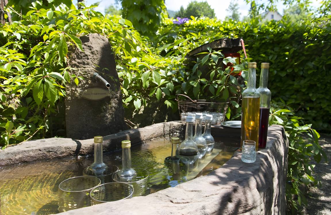 90 M² Appartement ∙ 2 Chambres ∙ 5 Personnes - Sasbachwalden