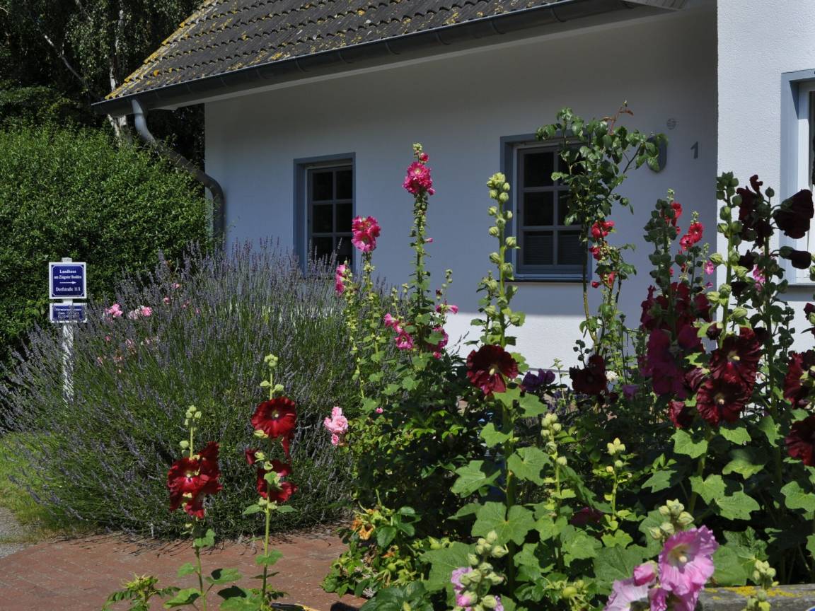 80 M² Ferienhaus ∙ 2 Schlafzimmer ∙ 4 Gäste - Barth