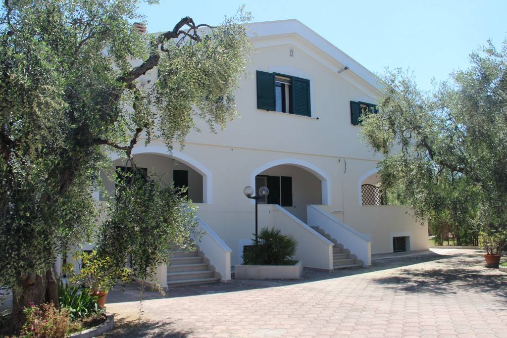 55 M² Appartamento Vacanza ∙ 2 Camere Da Letto ∙ 4 Ospiti - Vieste