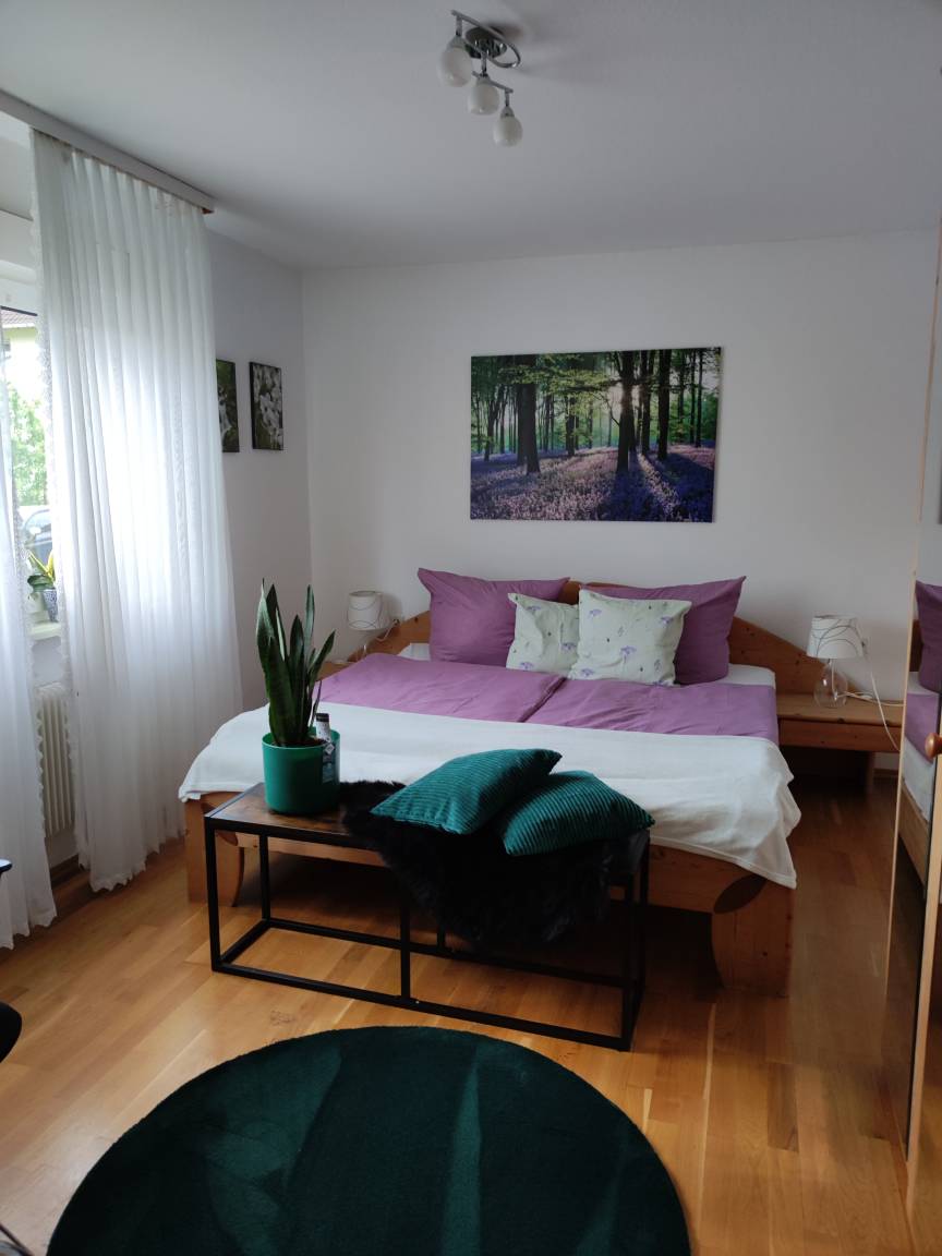 60 M² Apartment ∙ 1 Bedroom ∙ 3 Guests - Bensheim