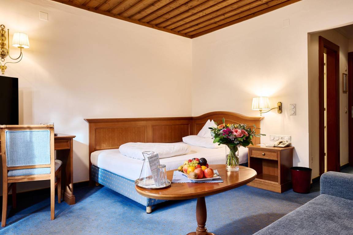 25 M² Hotel ∙ 1 Habitación ∙ 1 Huésped - Bad Kleinkirchheim