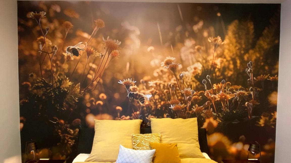 35 M² Apartment ∙ 1 Bedroom ∙ 2 Guests - Sankt Martin