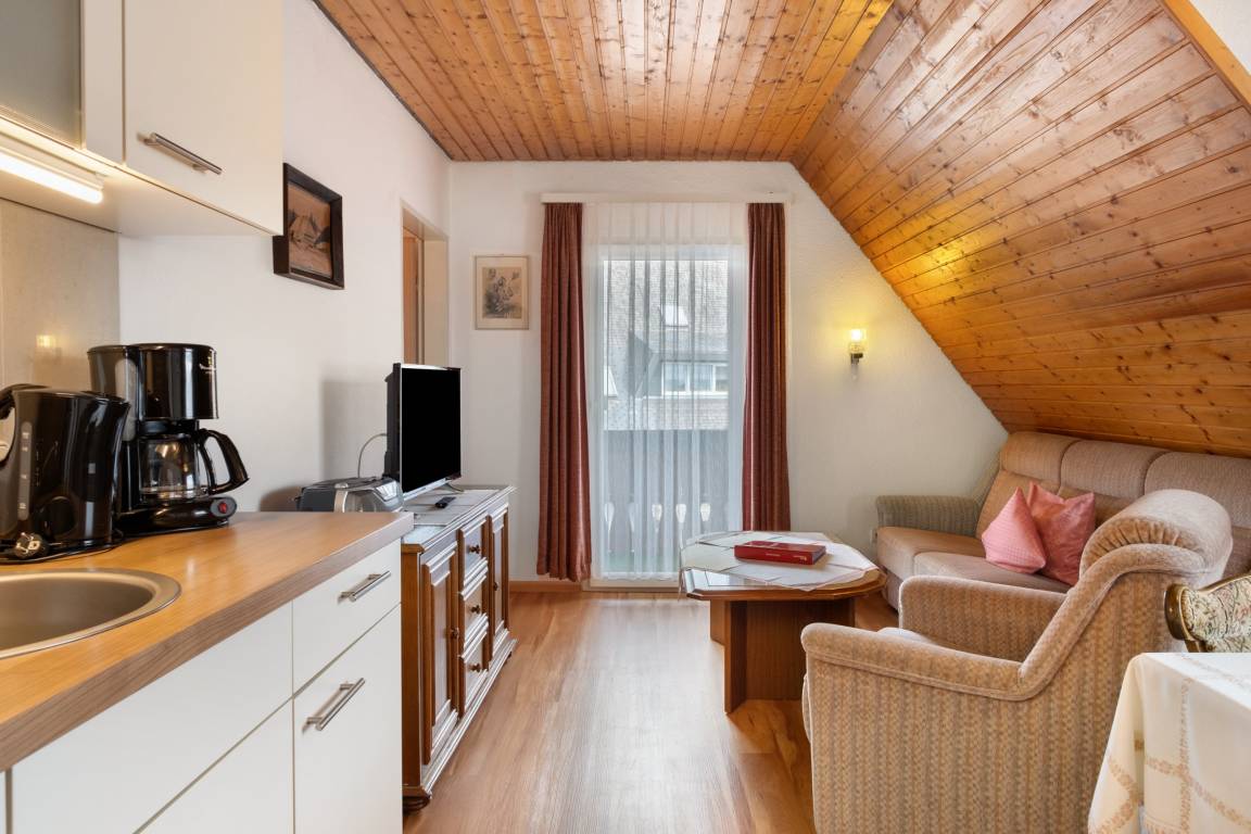 45 M² Appartement ∙ 1 Chambre ∙ 2 Personnes - Hinterzarten