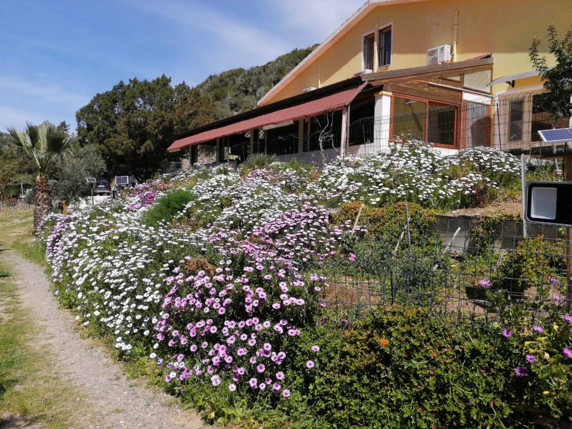 45 M² Huis ∙ 2 Slaapkamers ∙ 4 Gasten - Sant'Antioco