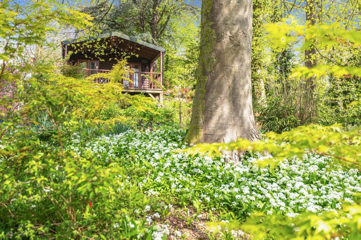 Lodge ∙ 1 Bedroom ∙ 2 Guests - Dorset