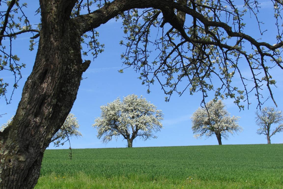 Hotel ∙ 2 Bedrooms ∙ 4 Guests - Wenigzell