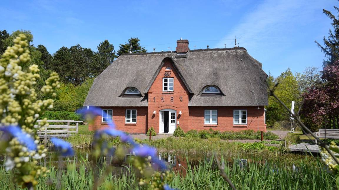 50 M² Ferienwohnung ∙ 1 Schlafzimmer ∙ 3 Gäste - Amrum